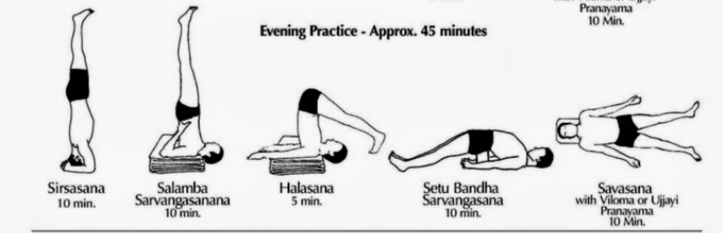 Iyengar's 'Immunity Sequence': ondersteun je weerstand met yoga - iYoga ...